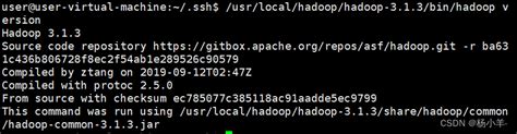 linux安装hadoop 3 1 3 单机 伪分布（图文详细版） hadoop3 1 3单机安装部署 csdn博客