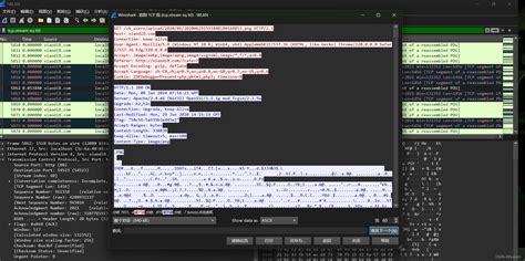 网络协议与攻击模拟01winshark工具简介 Csdn博客