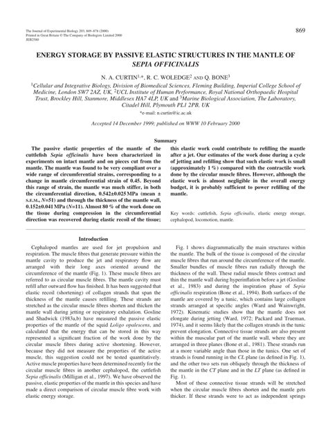 Pdf Energy Storage By Passive Elastic Structures In The Mantle Of