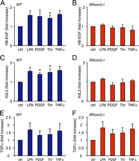 Irhom2 Controls The Substrate Selectivity Of Stimulated Adam17 Dependent Ectodomain Shedding