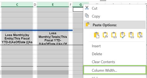 How To Resize Rows And Columns In Report Editor Qvinci Software