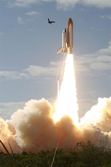 Spaceflight Now Sts 129 Shuttle Report Pad Cameras Capture Picturesque Launch
