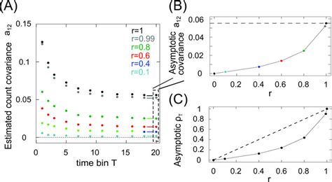 finite asymptotic limit of covariancesaijand correlation coefficientρt