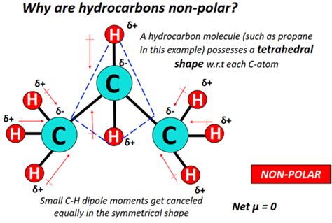 Are Hydrocarbons Polar Or Nonpolar Polarity Of Hydrocarbons