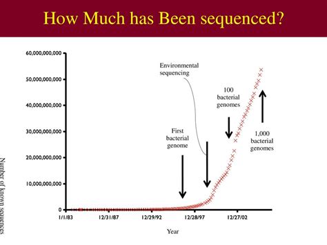 The Bioinformatics Behind Ppt Download