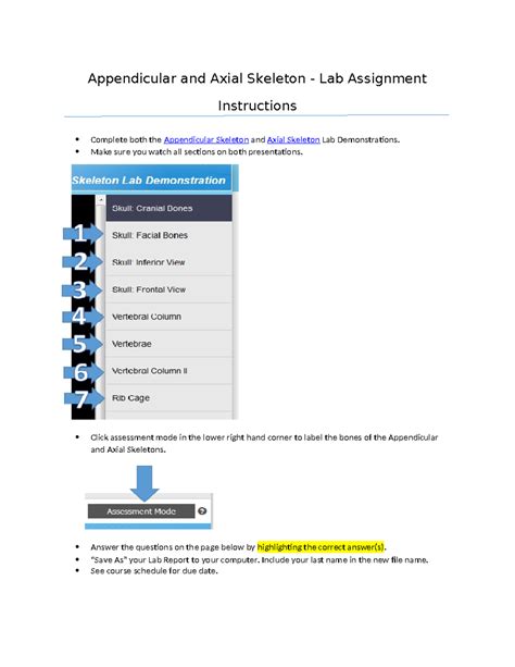 Appendicular And Axial Skeleton Lab Assignment Appendicular And