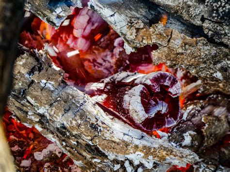 Q Learning Algorithm From Explanation To Implementation Towards Data