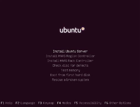 How To Install Ubuntu 1704 Server Zesty Zapus Wpcademy