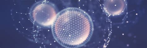 Bioinformatics And Data Analysis Afms