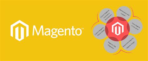 web development company web development services