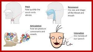 How Gender Is Conveyed Through Speech ScIU