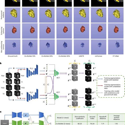 Uncertainty Guided Dual Views For Semi Supervised Volumetric Medical Image Segmentation
