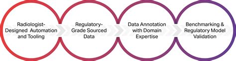 Imerit Radiology Annotation Suite Medical Imaging Annotation Imerit