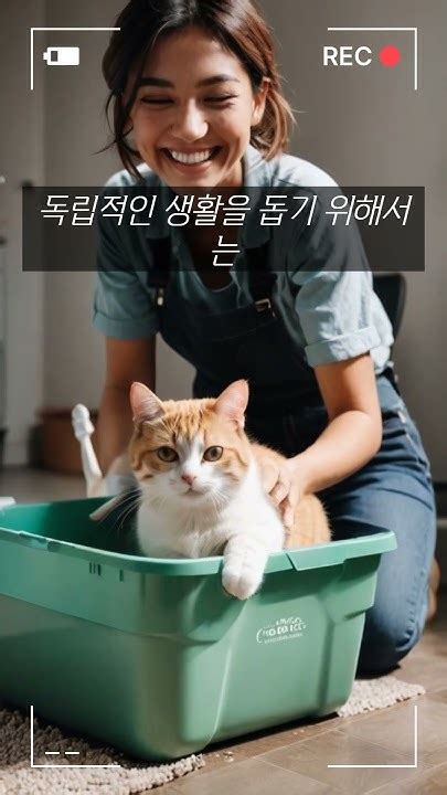 고양이를 독립시키면 생기는 놀라운 변화 고양이 고양이독립 고양이자립 반려묘 고양이키우기 Youtube