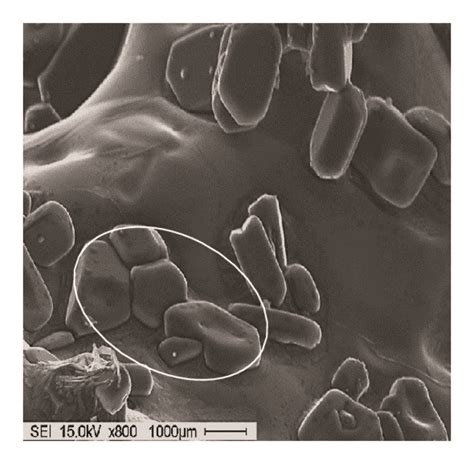 Variation In The Morphology Of Eutectic Si Particles In A413 Alloy As A