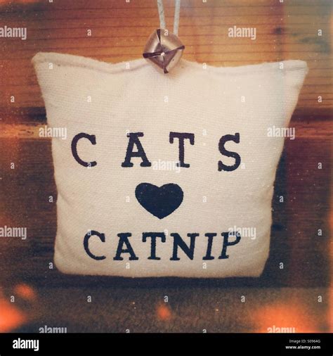 Catnip Bag Hi Res Stock Photography And Images Alamy
