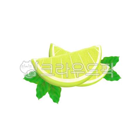 라임 라임일러스트 일러스트 손그림 과일 사진이미지일러스트캘리그라피 라온에이치캘리작가