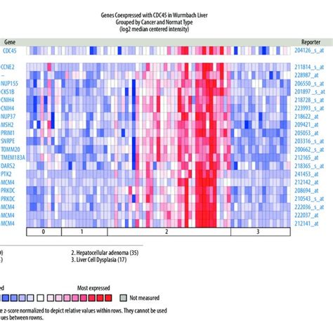 the co expressed genes based on the wurmbach liver microarray all the