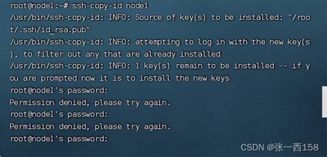 Ubuntu系统在配置ssh免密登录时出现permission Denied Please Try Againubuntu Ssh