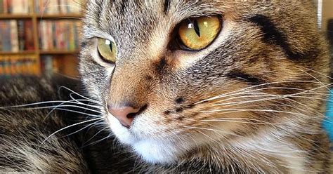 Deep Thoughts Imgur Deep Thoughts Imgur