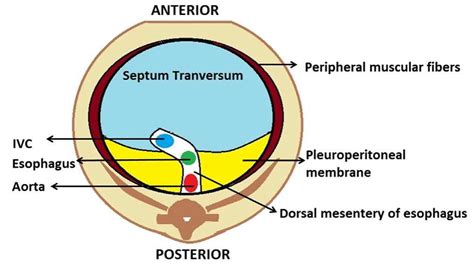 Figure 2 From “straddling Across Boundaries”