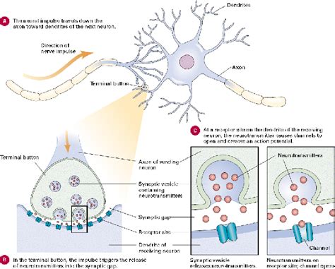 Figure 1 From Design And Development Of Artificial Neural Networking