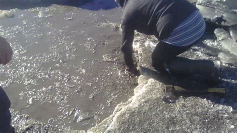 Рыба в луже Youtube