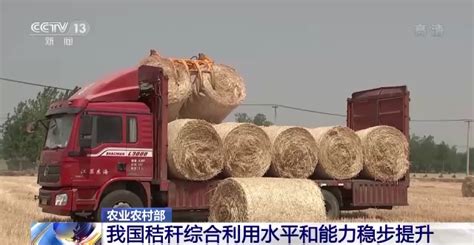 农业农村部我国农业生态环境建设成效显著 大河新闻