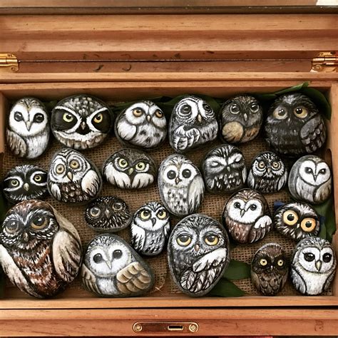 Painted Rock Owls By Trinh Baxter Painted Rocks Owls Painted Rocks