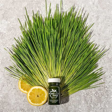 Wheatgrass Shot Pure Raw Juice Healthy Smoothies Superfood Bowls