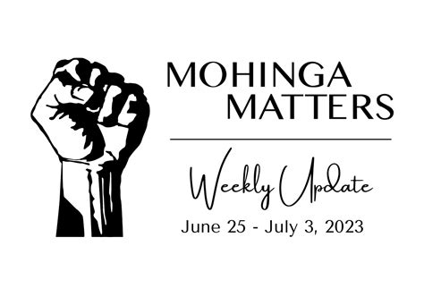 Weekly Update 071 Mohinga Matters