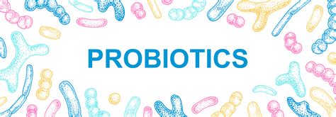 포장 및 브랜딩을 위한 손으로 그린 프로바이오틱스 디자인 스케치 스타일의 벡터 일러스트레이션입니다 현미경 박테리아 클로즈업 생물학 배경 프로바이오틱에 대한 스톡 벡터 아트