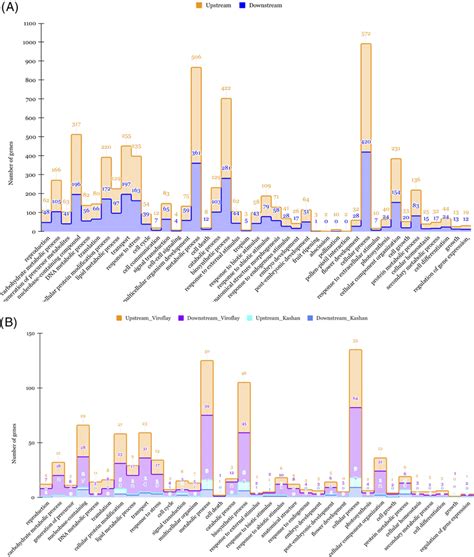 Gene Classification For Protein Coding Genes Spaced Less Than 100 Kb