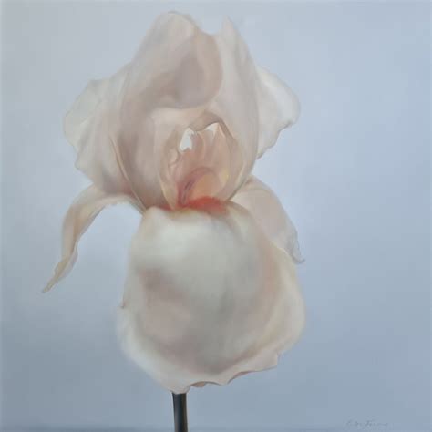 Edna Fourie Grande Provence Gallery