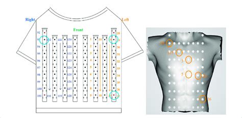 Position Of Six Electrode Reference Points Download Scientific Diagram