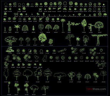Trees AutoCAD Blocks Free Download