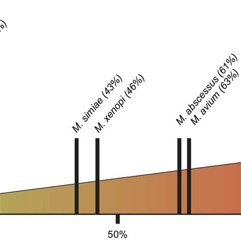 Clinical Relevance Of Non Tuberculous Mycobacteria Species 31 Download Scientific Diagram
