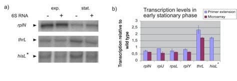 Comparison Between Microarray And Primer Extension Results A Results