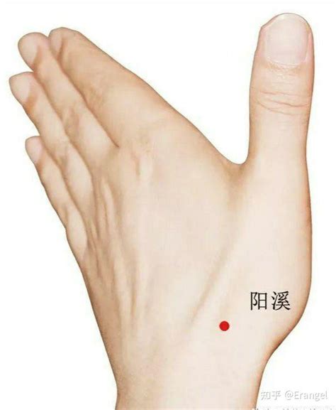 手阳明大肠经之阳溪穴 知乎