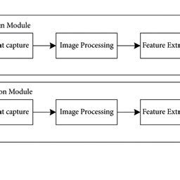 A Schematic Diagram Of Fingerprint Recognition Download Scientific Diagram