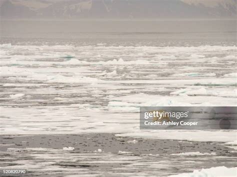 Rotten Sea Photos And Premium High Res Pictures Getty Images