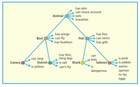 Semantic Memory Flashcards Quizlet