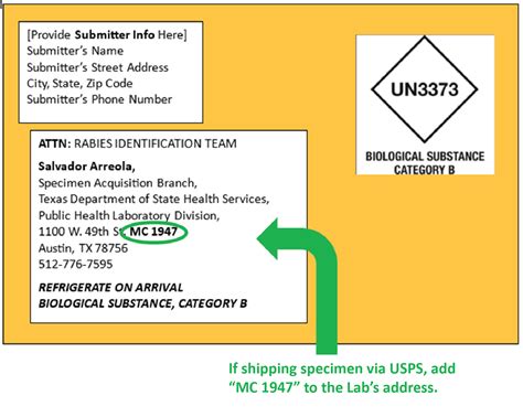 Submitting Rabies Specimens To Dshs Laboratory Texas Dshs