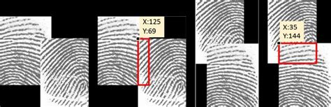 A And C Input Fingerprints B And D Overlapping Region E Download Scientific Diagram