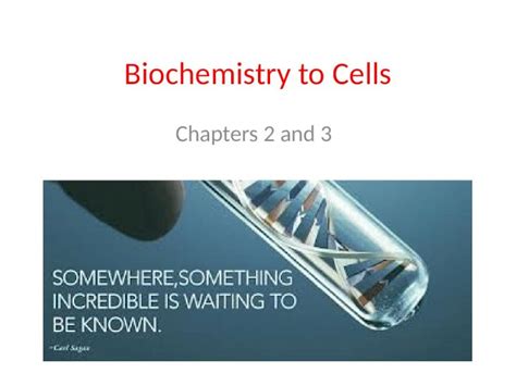 PPTX Biochemistry To Cells Chapters And Anatomy Is Structure Physiology Is Function