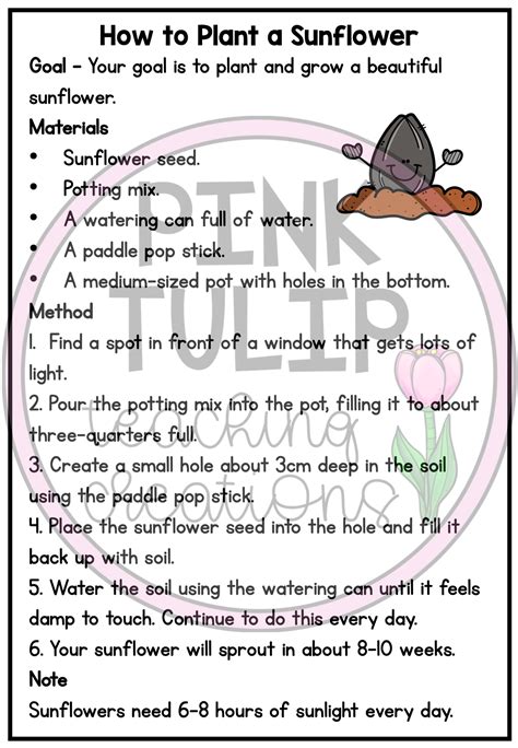 Procedural Text Examples Ten Reading Samples With Comprehension Subtraction Word Problems