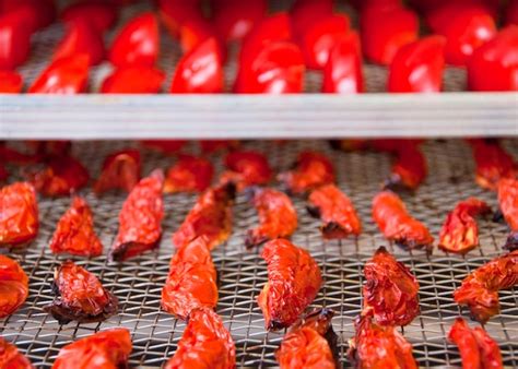 Tomato Drying Process Images Free Download On Freepik