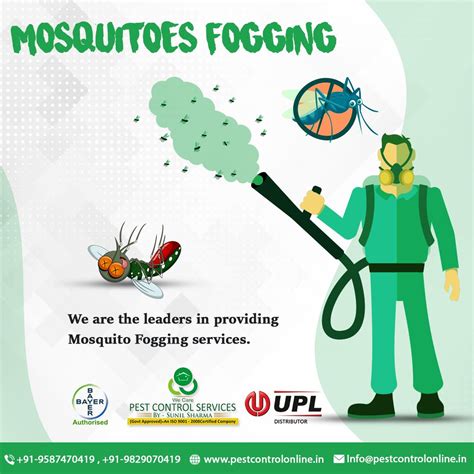 Mosquitoes Fogging In Jaipur Jodhpur Ajmer Alwar Bikaner Mosquito