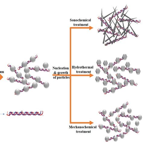 Fabrication And Growth Of Template Assisted Zno Nanostructures Download Scientific Diagram