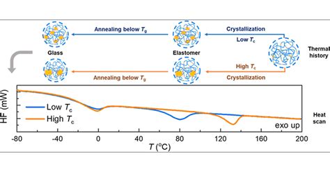 Effect Of Phase Separation And Crystallization On Enthalpy Relaxation In Thermoplastic
